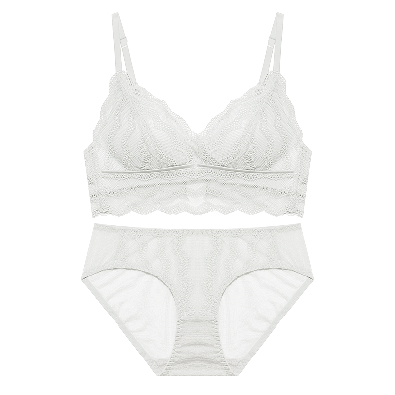 Lace Sexy Bra And Panty Set Wire Free Bra Set Intimate Underwear Women