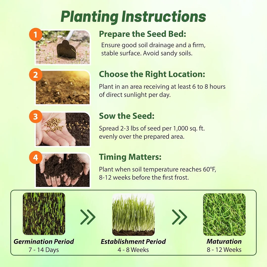 Buffalo Grass - Supreme