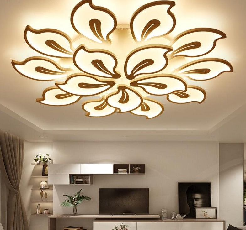 Modern Acrylic Design Ceiling Lights Bedroom Living Room Ceiling Lamp ...