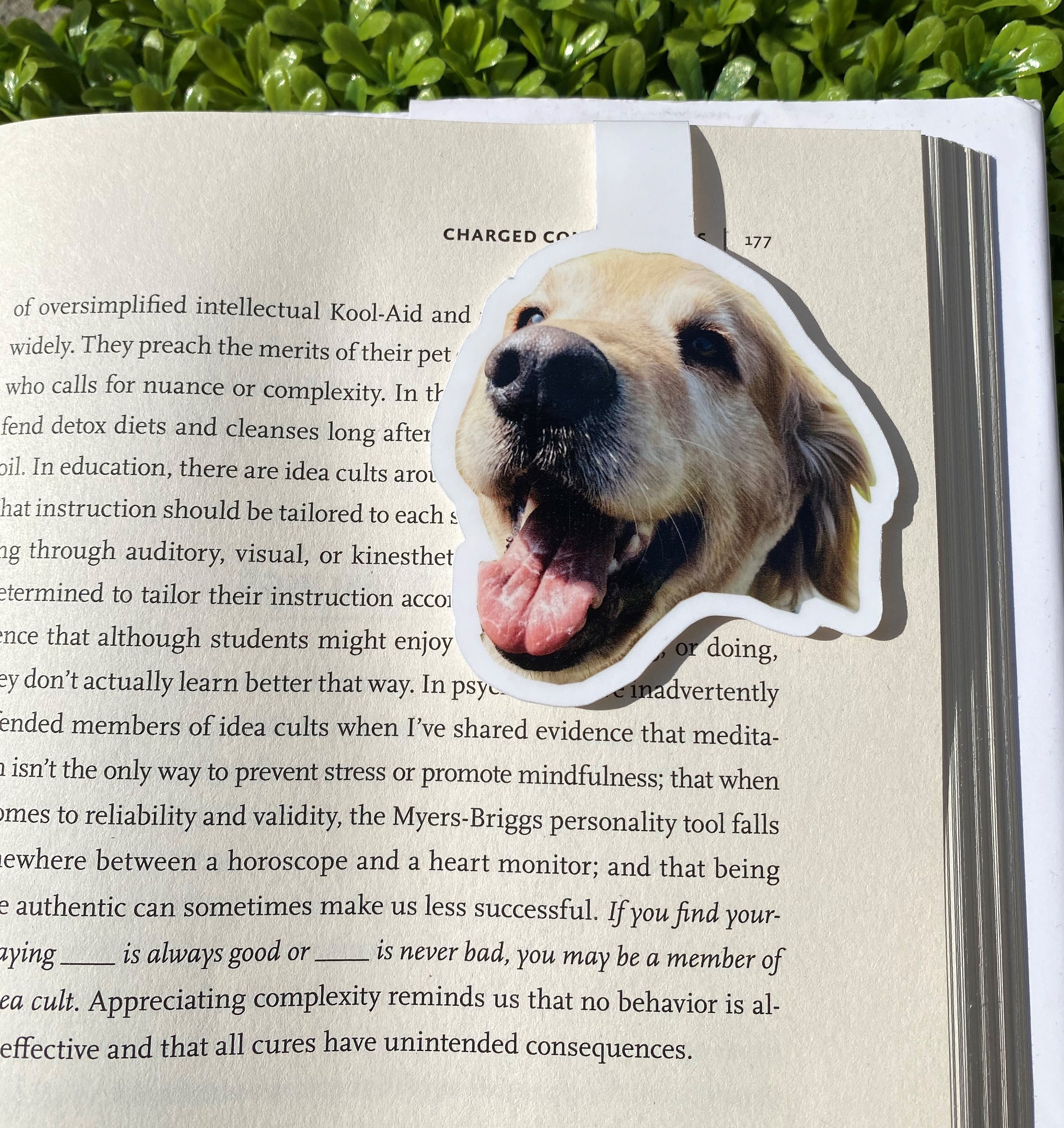 Personalized Dog Magnetic Bookmark
