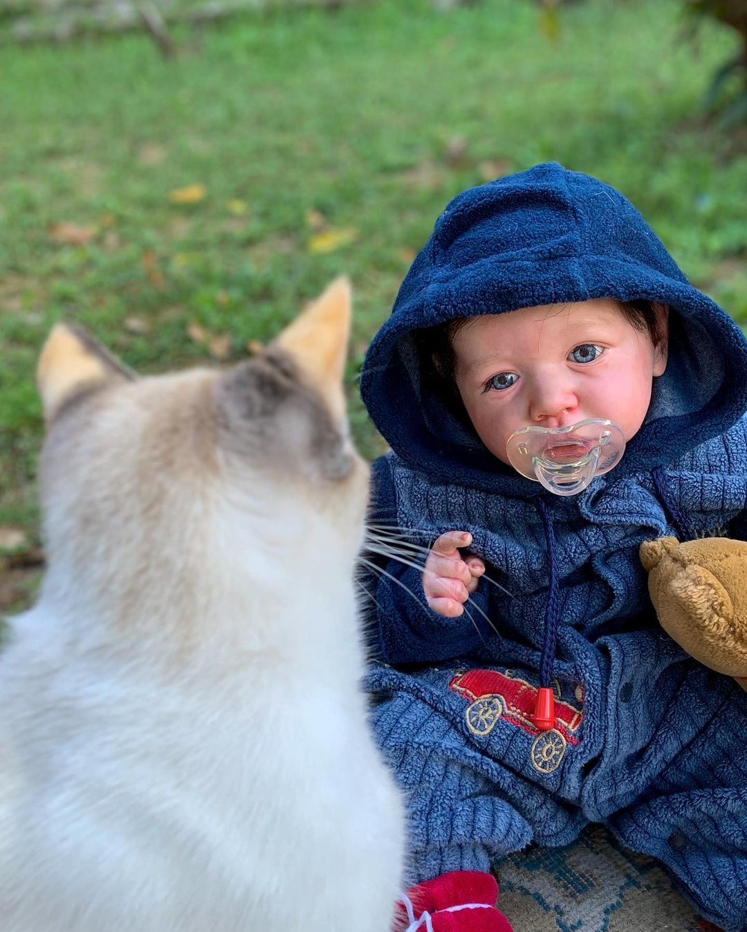 Dollishreborndolls® 12'' Realistic Lifelike Weighted Derrick Unique ...