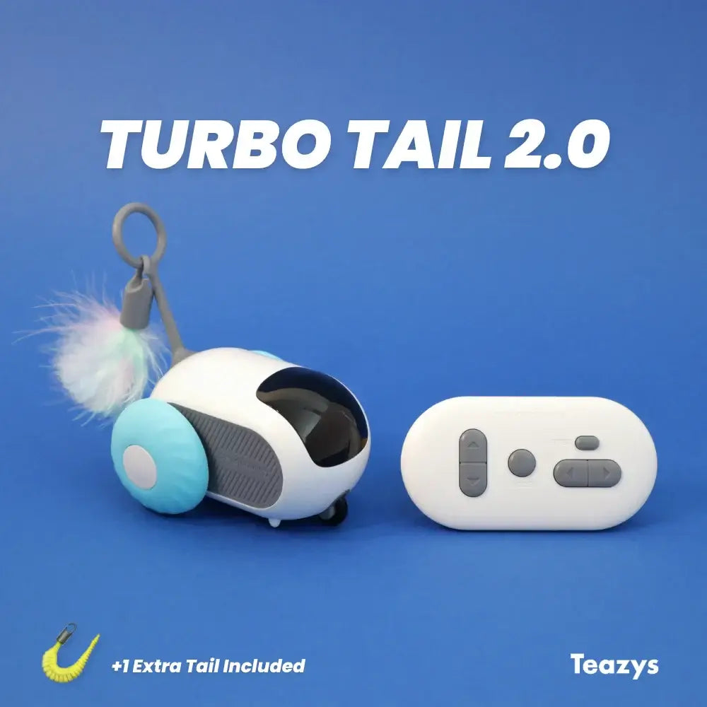 Cat Toys Running Car Remote Control Cat Toys