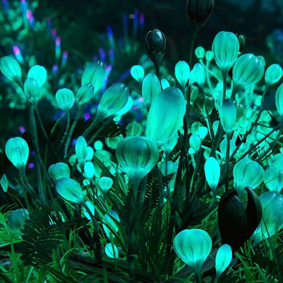Luminous Forest Jewels: Enchanting Glow-in-the-Dark Plants