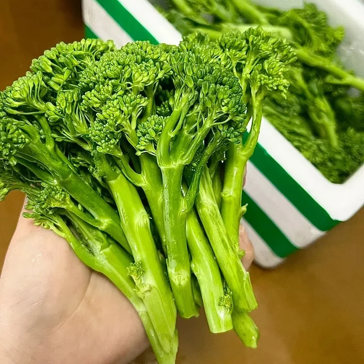 🥦Rare Broccolini Seeds