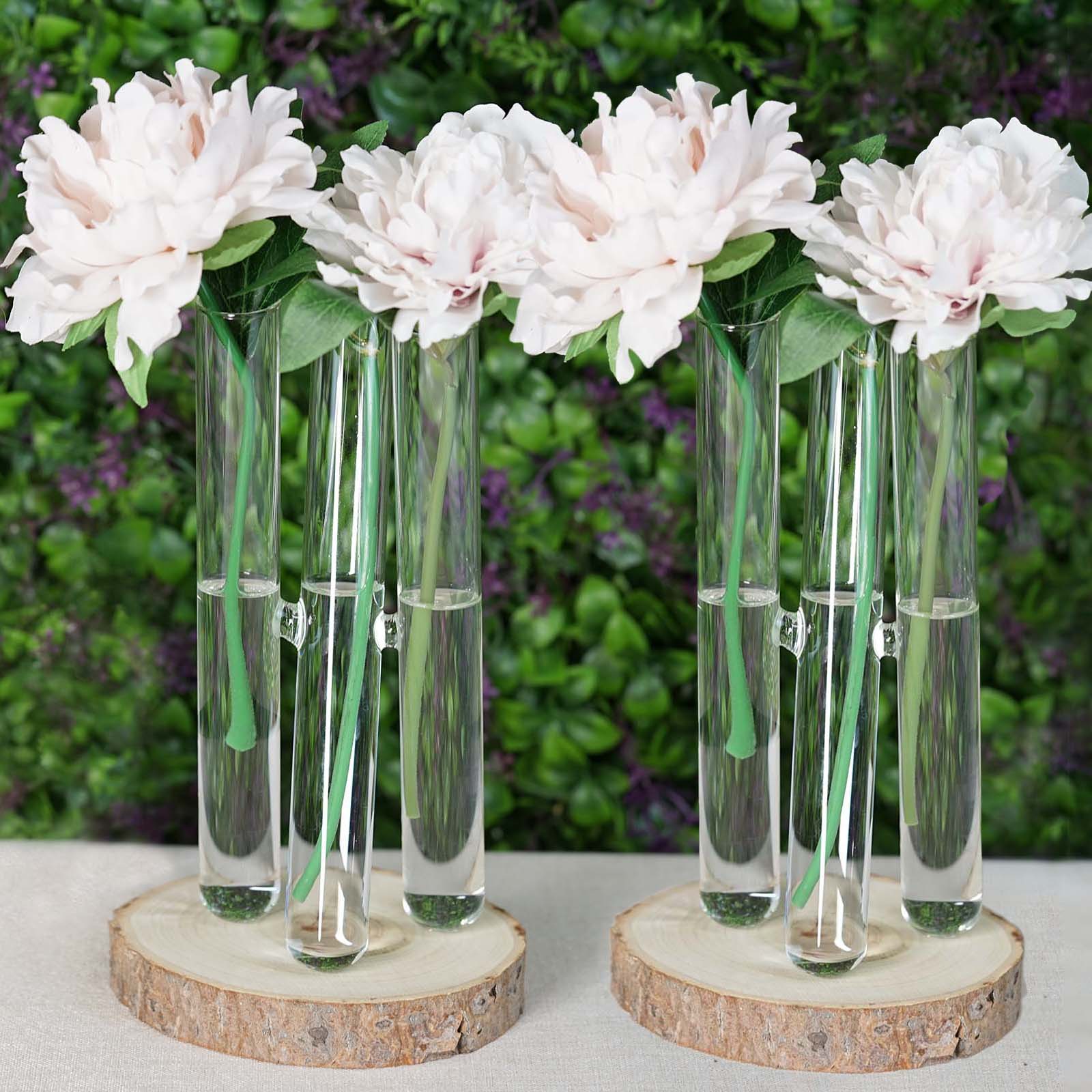 2 Pack | 3-Piece Conjoined Clear Glass Test Tube Flower Bud Vases