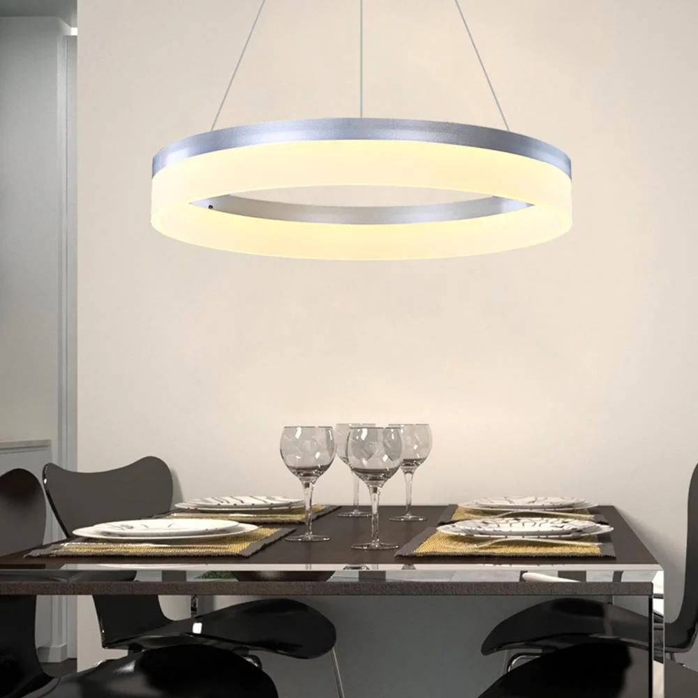 Nordic Ring Pendant Lamp Restaurant Bar Lighting LED Circle Hanging ...