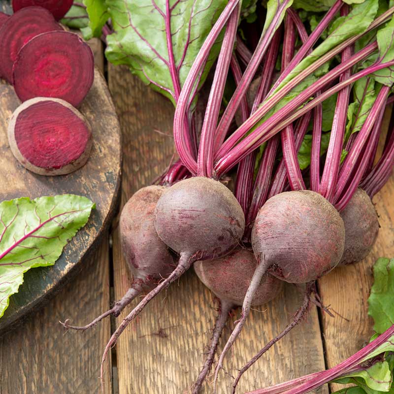 Beet Seeds (Organic) - Detroit Dark Red