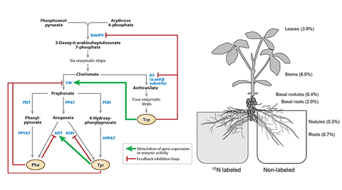 🌿Plant Nutrient Solution💚 Compatible with all types of plants👍 - Gpmsign