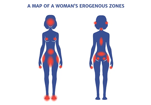 The Exploration Guide To Women S Erogenous Zones