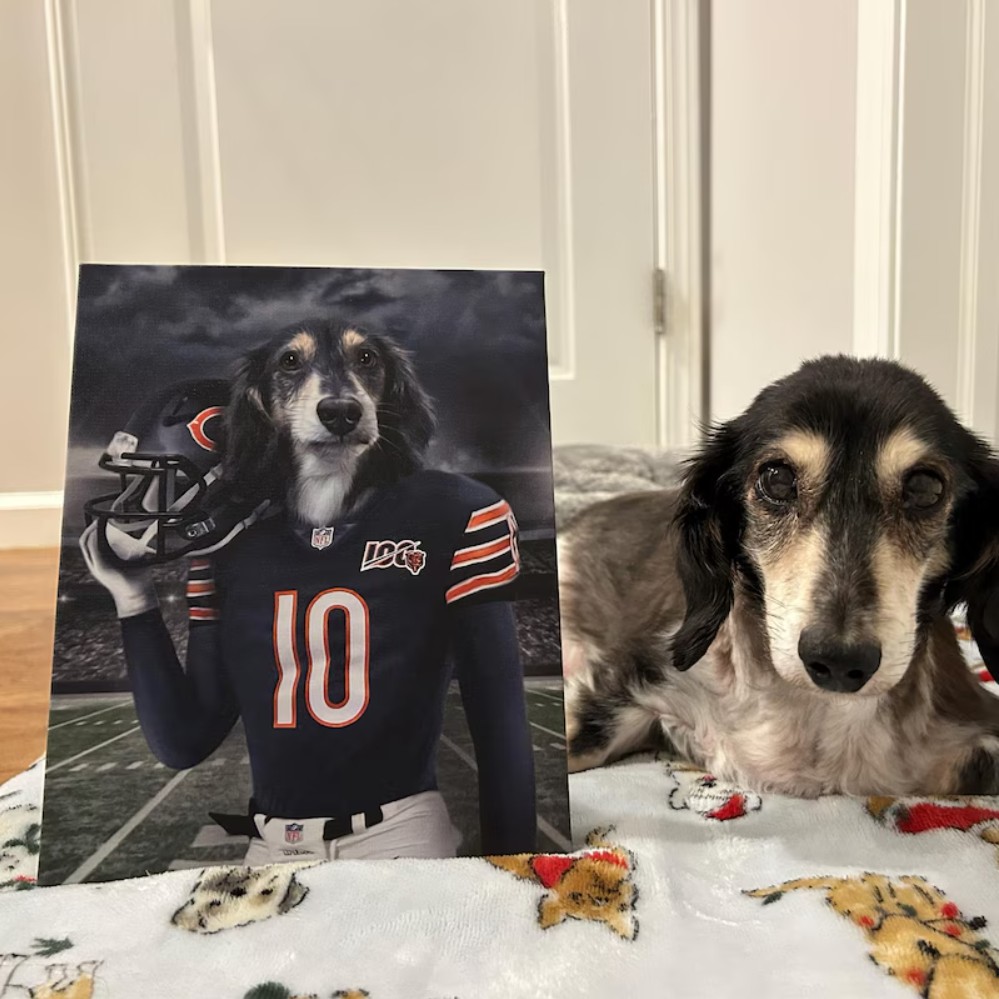 Custom American Football Pet NFL Canvas Portrait