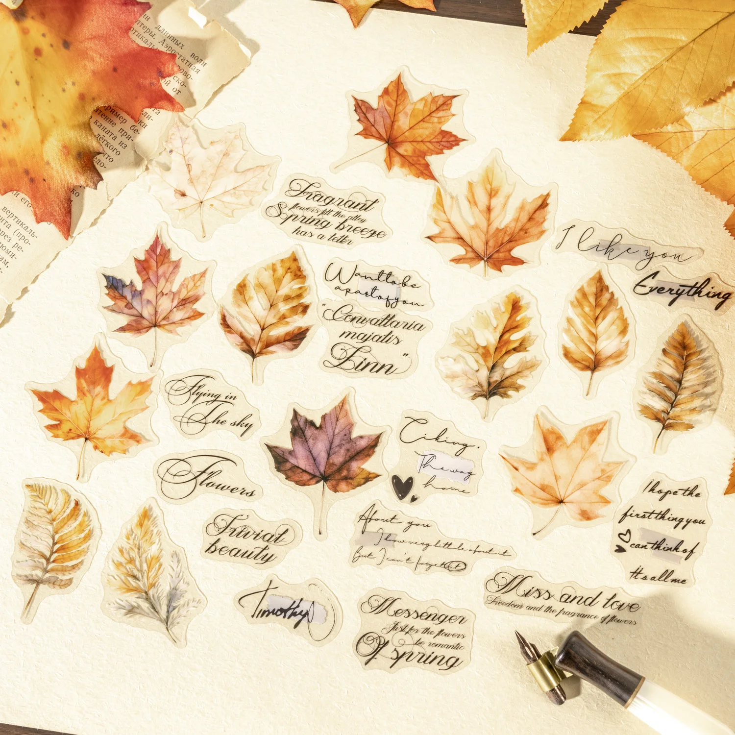 PET Sticker - A Poem for Leaves Series Vintage Plant Leaf English Text ...