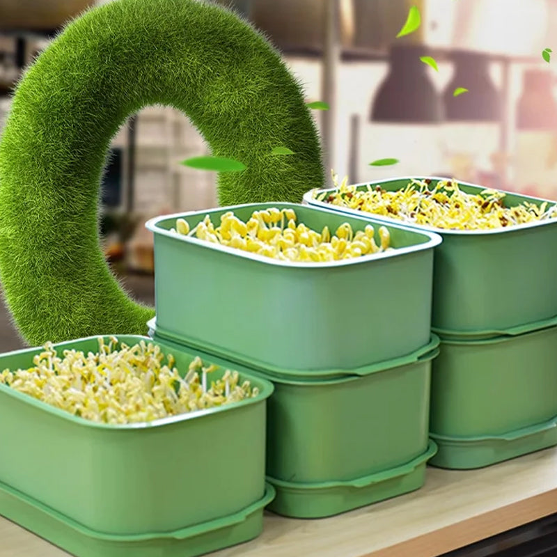 Stackable Bean Sprout Growing Box