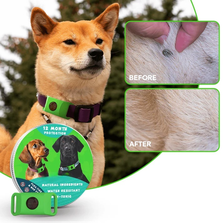 Pets Flea And Tick Collar Buckles