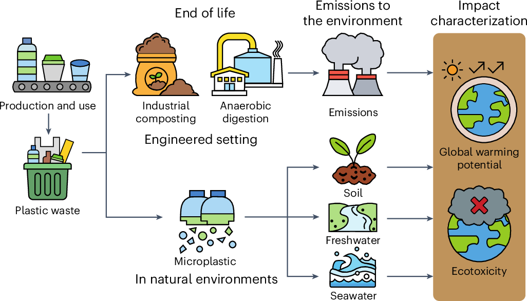 What Are Biodegradable Polymers Made Of? A Comprehensive Guide