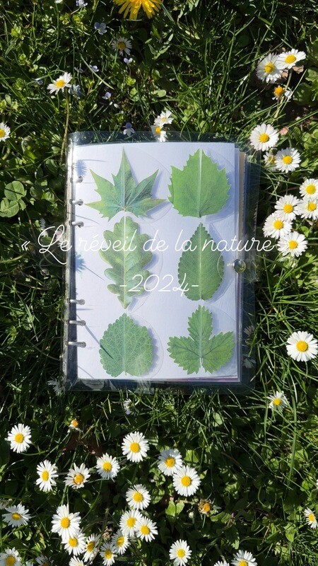 Spring Quiet Book - 2024