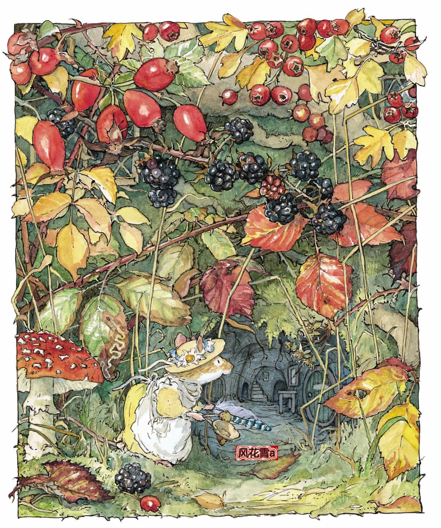 [PDF Manual]Cross Stitch Drawings PDF Redesign XSD SAGA Brambly Hedge