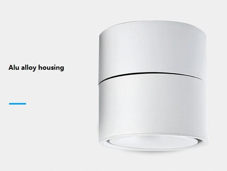 3W/5W/7W/10W12W Dimmable LED Surface Mounted Ceiling Lamp ,Foldable And ...