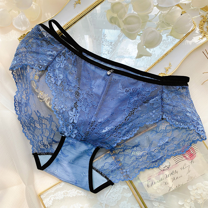 Lace Pure Desire Mesh Sexy Transparent Briefs