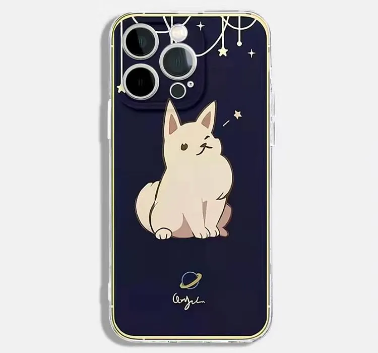 Honkai Star Rail Characters Case