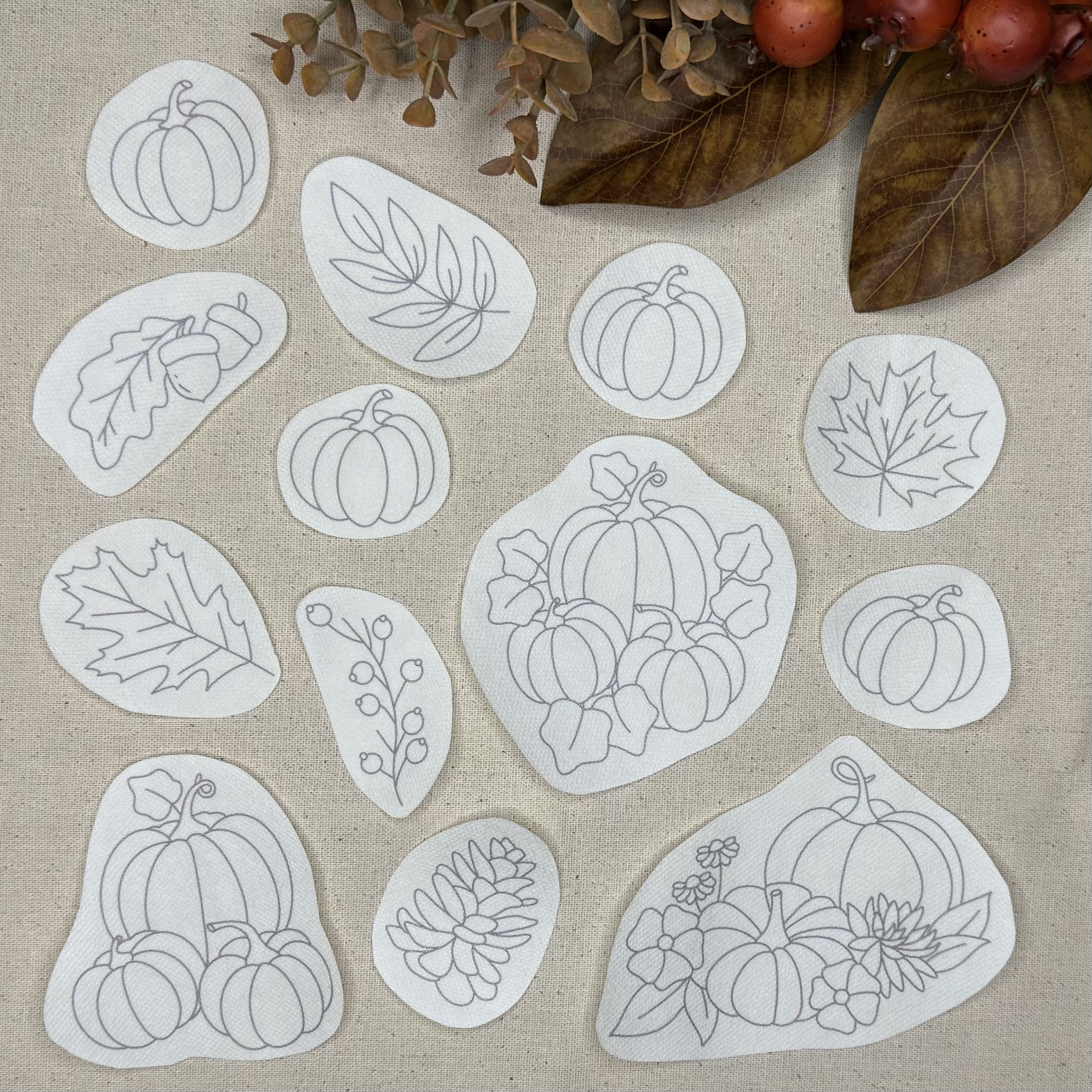 Water Soluble Botanical Hand Embroidery Pattern Kit