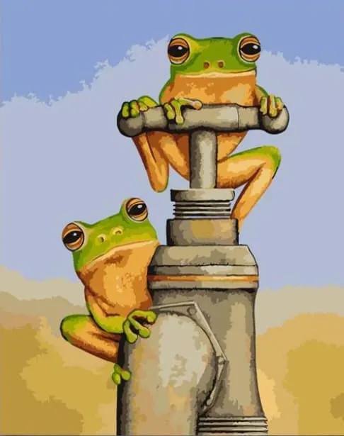 DIY Painting By Numbers | Frog- 40*50cm