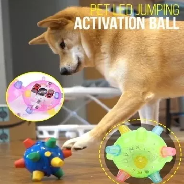Jumping Activation Ball for Dogs