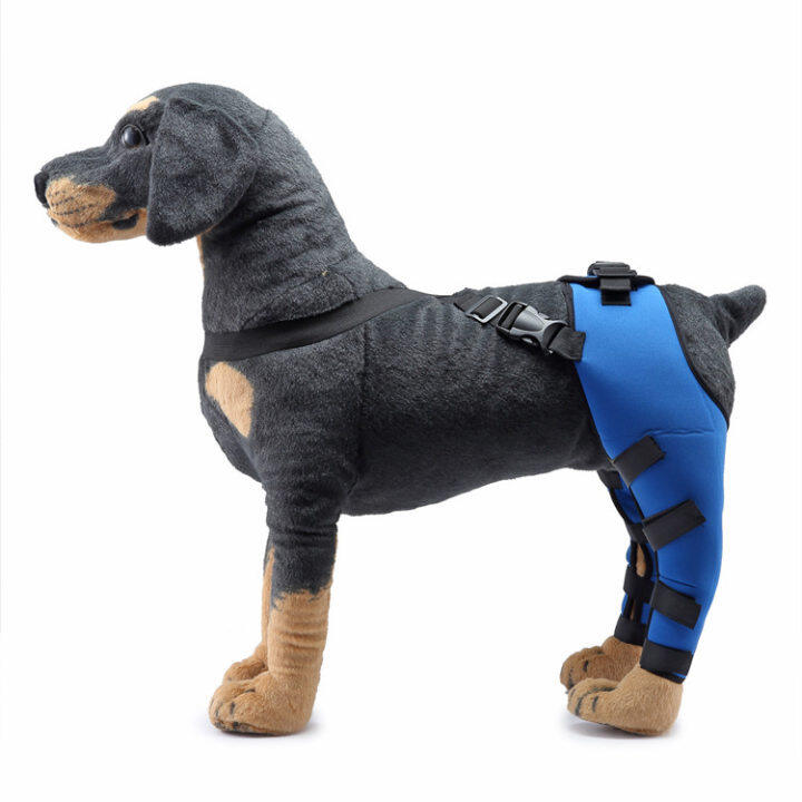 Dog Hip Support For Hip Dysplasia For Back Leg Dog Brace With Safety ...
