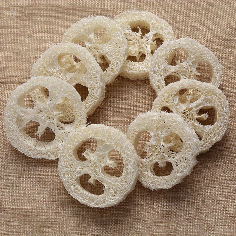 10-Pack Premium Loofah Slices 10-Pack Premium Loofah Slices, Multi-Ply ...