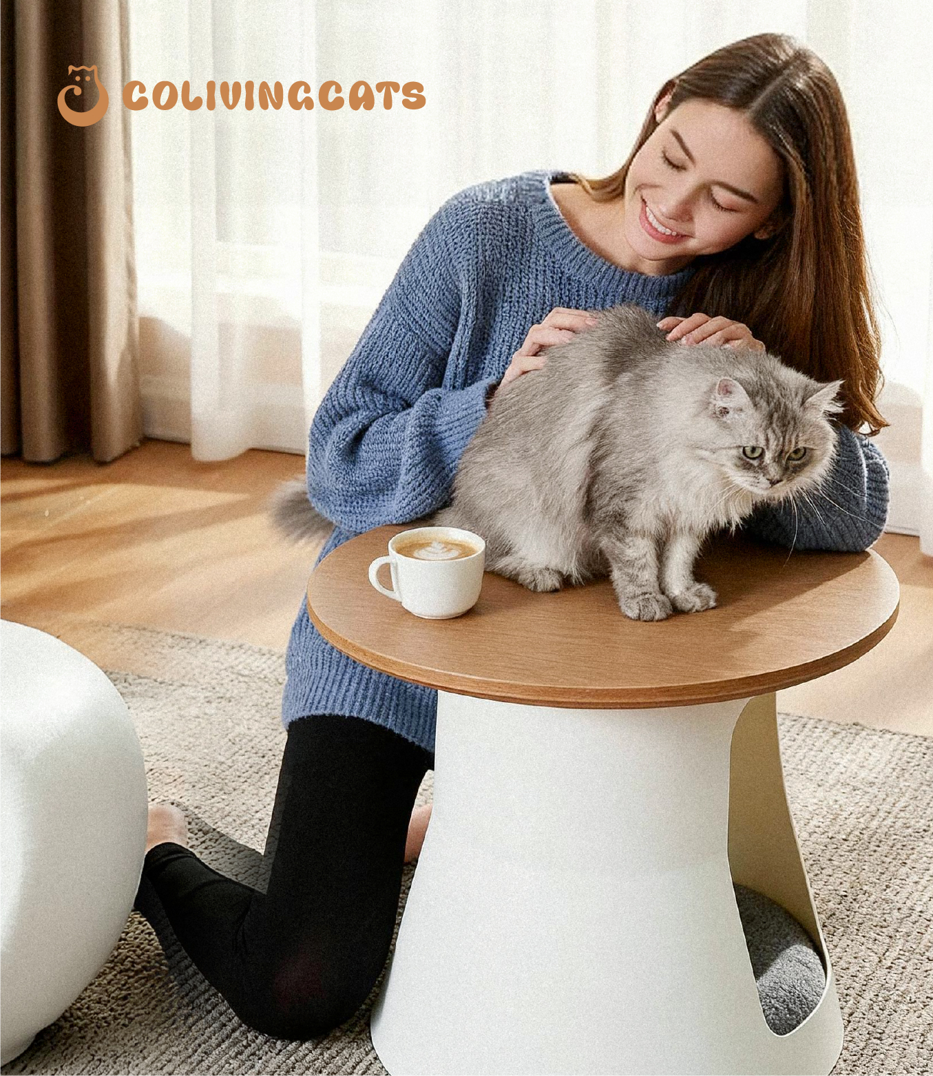 Modern Cat-Friendly Furniture | Shared Living by ColivingCats