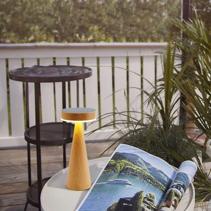 Multi-functional Solar Powered Table Lamp - Reverse Charge Night Light ...