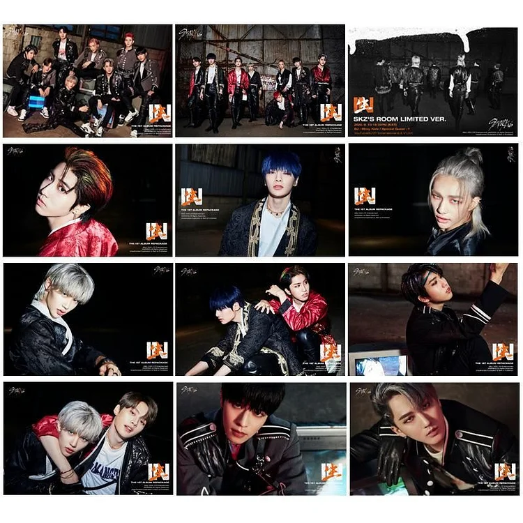 Stray Kids IN LIFE Album Card Sticker