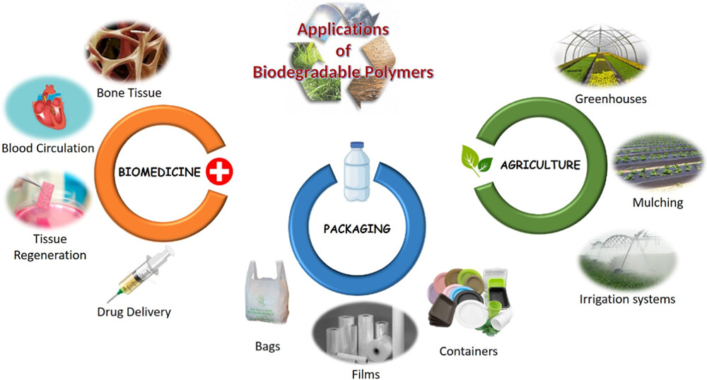 What Are Biodegradable Polymers Made Of? A Comprehensive Guide