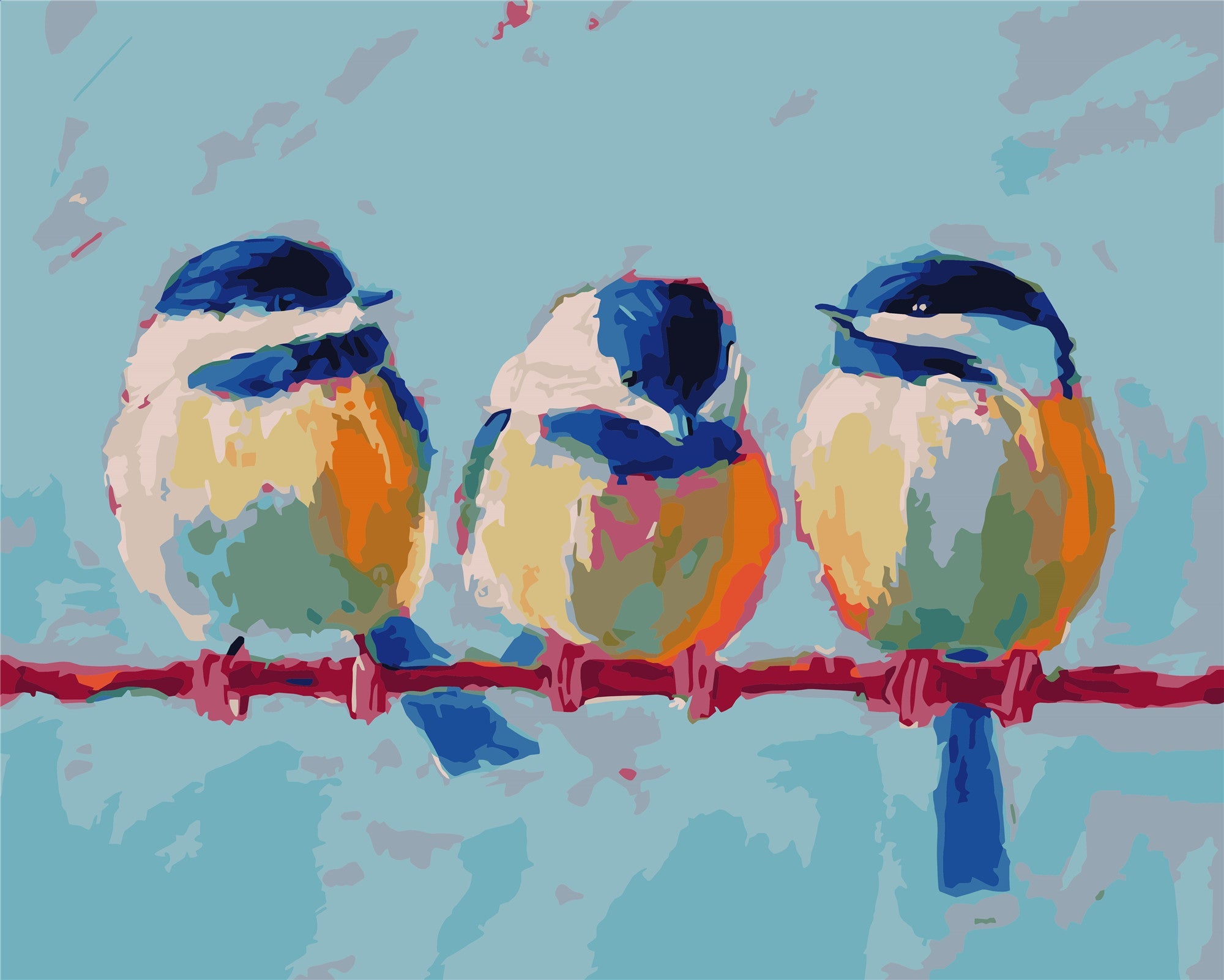 Bird Paint By Numbers Kits UK