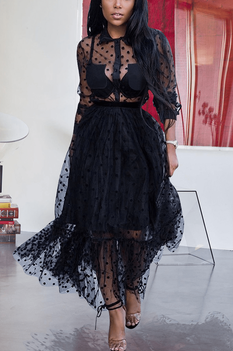 Sexy Mesh Long Sleeve Perspective Dress