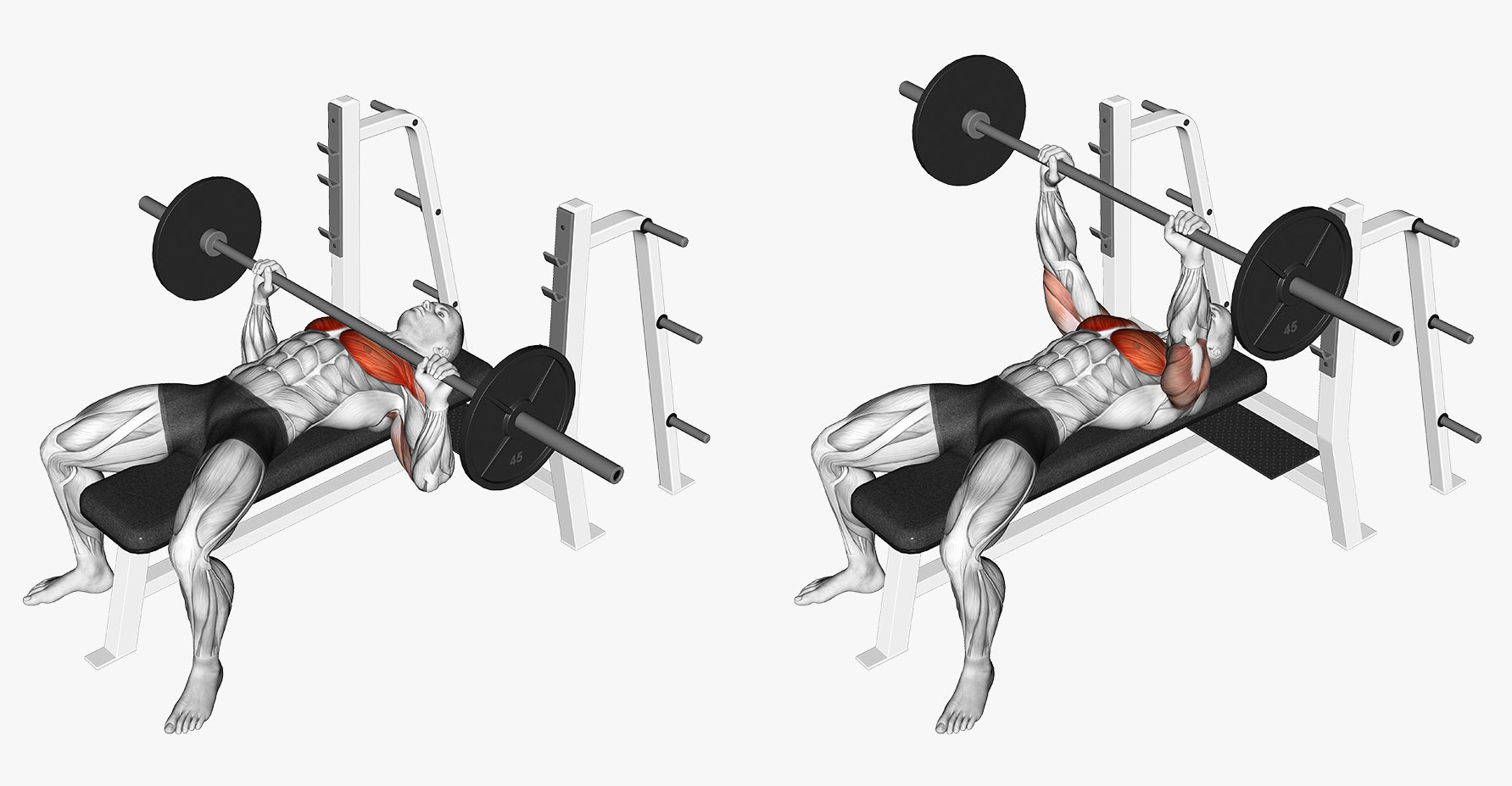 How To Start Chest Training: A Beginner's Guide