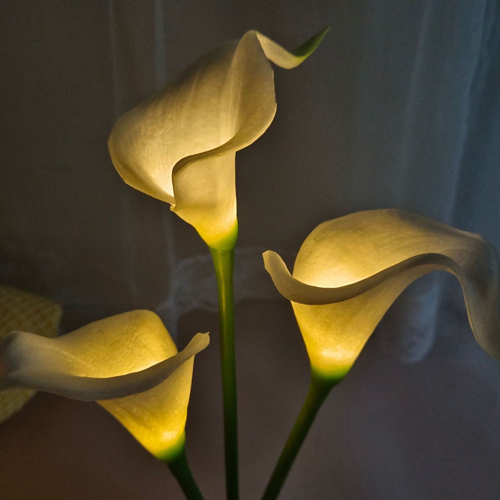 【3pcs】Calla Lily Lamp