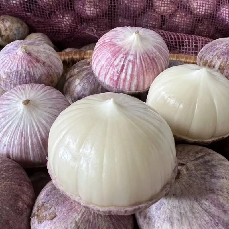 Solo Garlic: Healthy Onion without GMO Ingredients