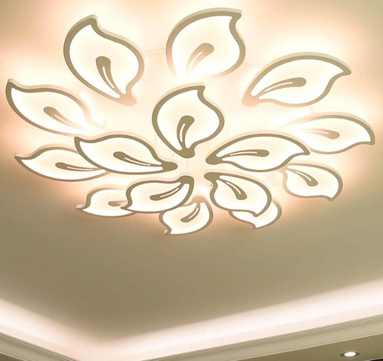 Modern Acrylic Design Ceiling Lights Bedroom Living Room Ceiling Lamp ...