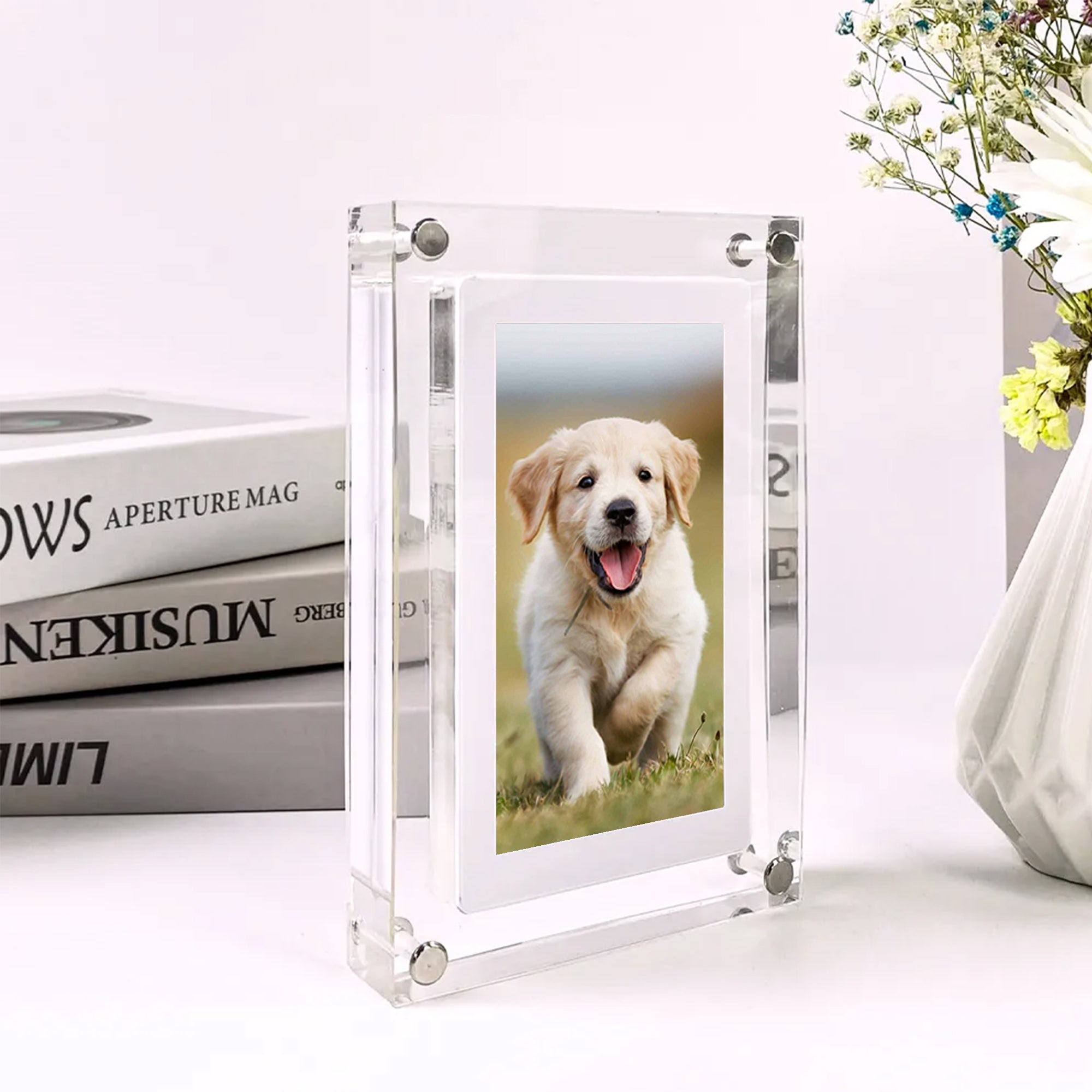 Digital Video Frame
