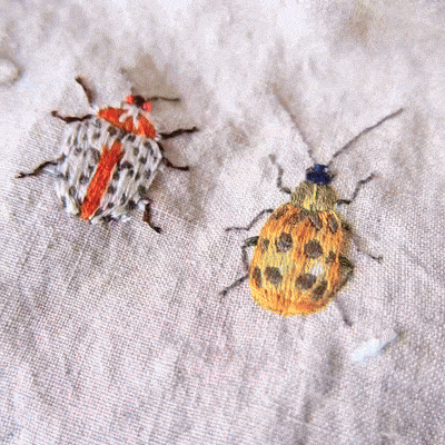 Gorgeous Bugs Water Soluble Botanical Hand Embroidery Pattern Kit