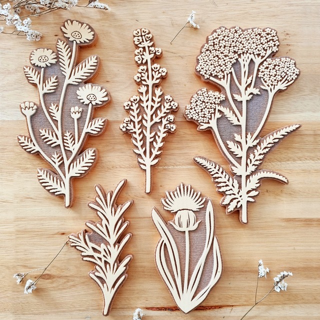 Herbarium Stamp Kit
