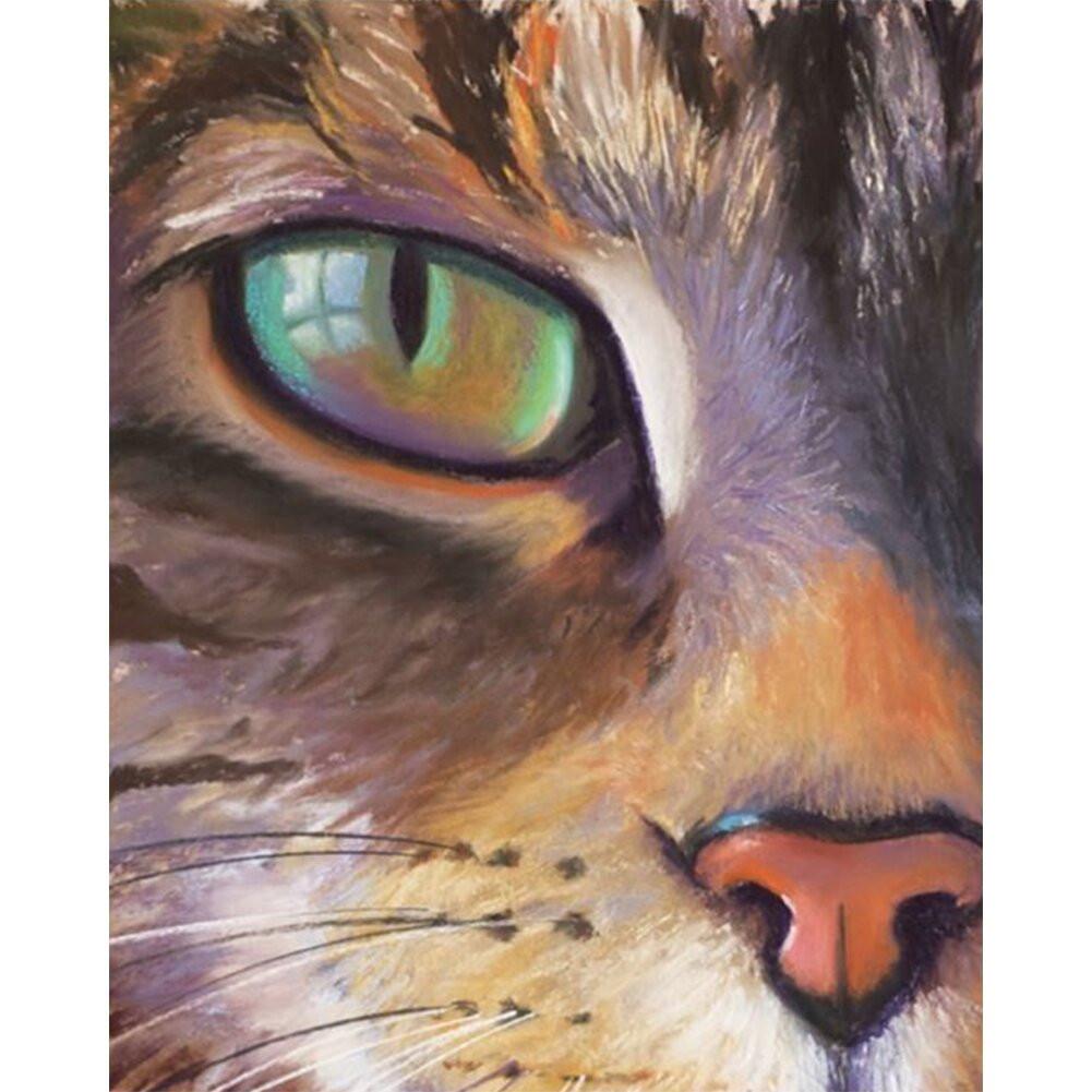 DIY Painting By Numbers | cat