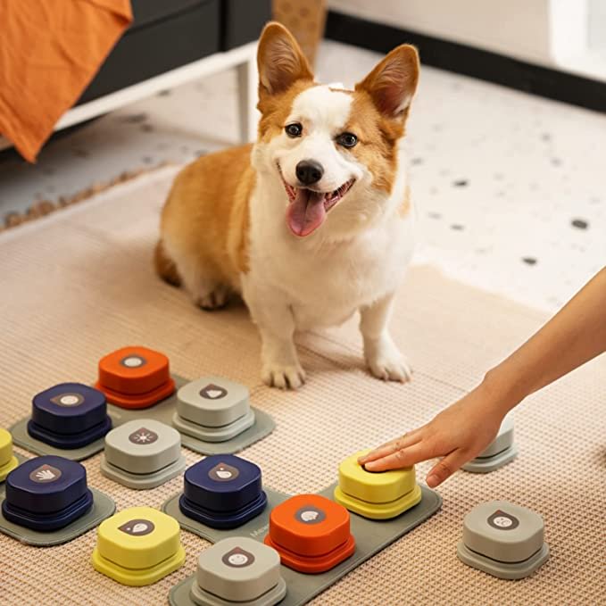 Dog Button For Communication Teach Your Dog How To Talk Mewoofun
