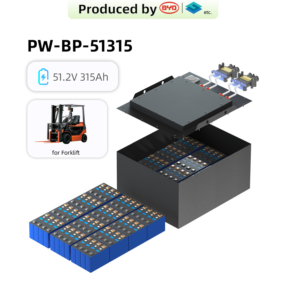 BYD 51.2V 315Ah LFP Lithium Ion LiFePO4 Battery Packs for Forlift