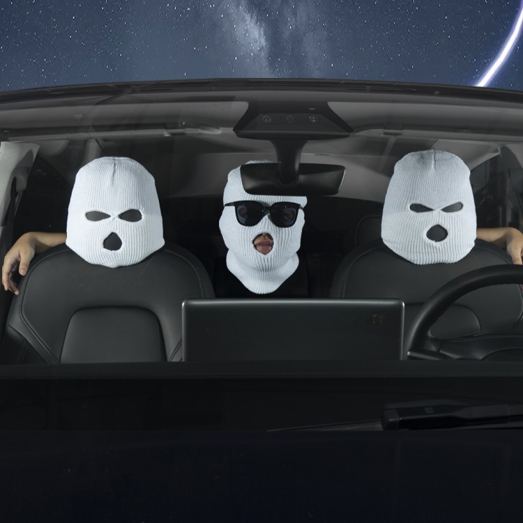 Tesla Seat Headrest Protective Covers