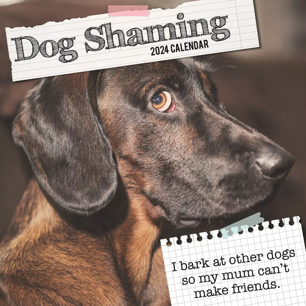 Dog Shaming 2024 Calendar