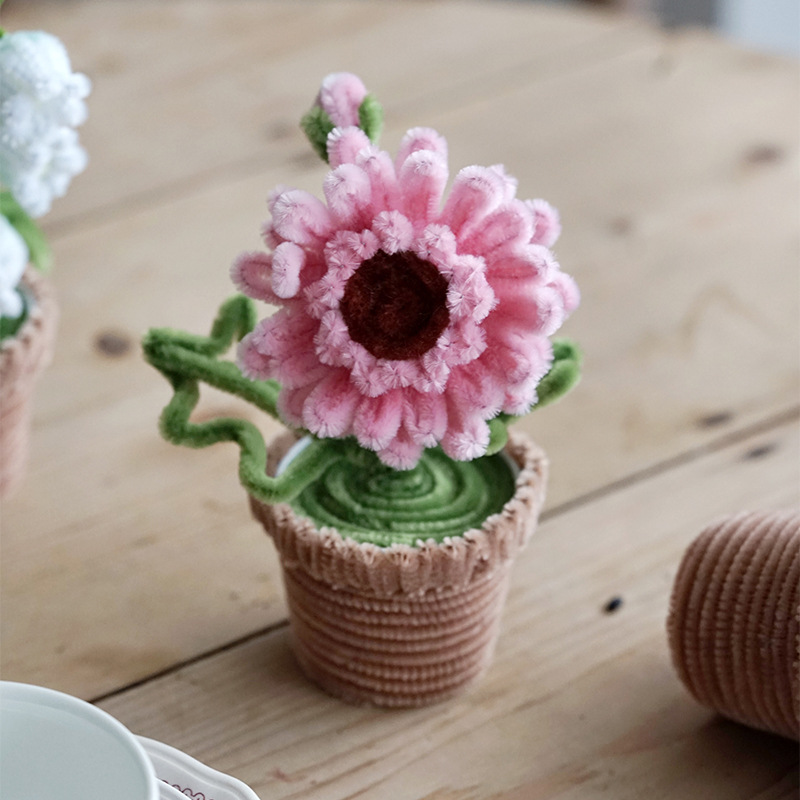 DIY Pipe Cleaners Kit - African Daisy Potted