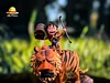 WCF Scale Tiger Riding & Monkey D. Luffy - ONE PIECE Resin Statue - ONE ...
