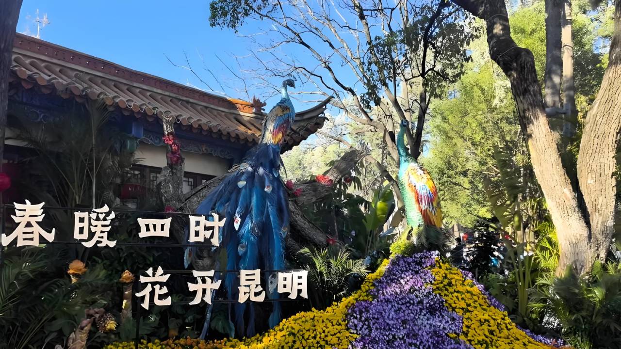 Kunming Weather: Best Time to Visit for Scenery, Costs, and More