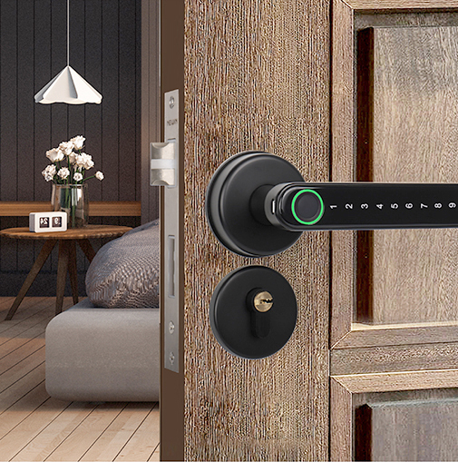 Smart WiFi Remote Controlled Door Lock
